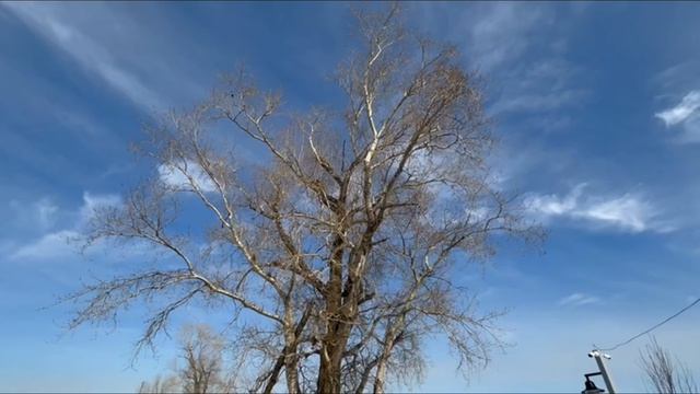 Корзников Марк. Февраль. Борис Пастернак