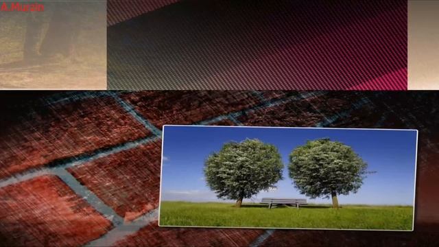 Amure - House of the Sun