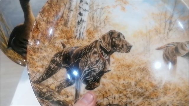 Купил тарелки с фотопечатью на охотничью тематику