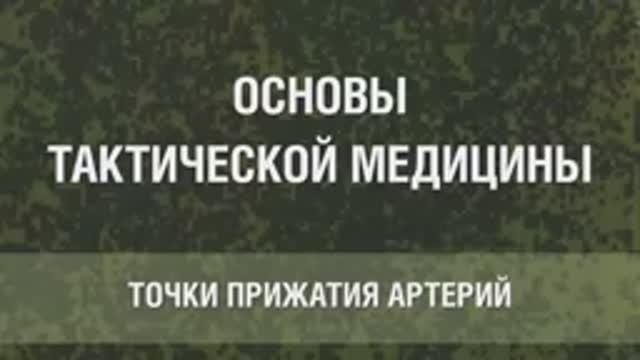 3. ТОЧКИ ПРИЖАТИЯ АРТЕРИЙ