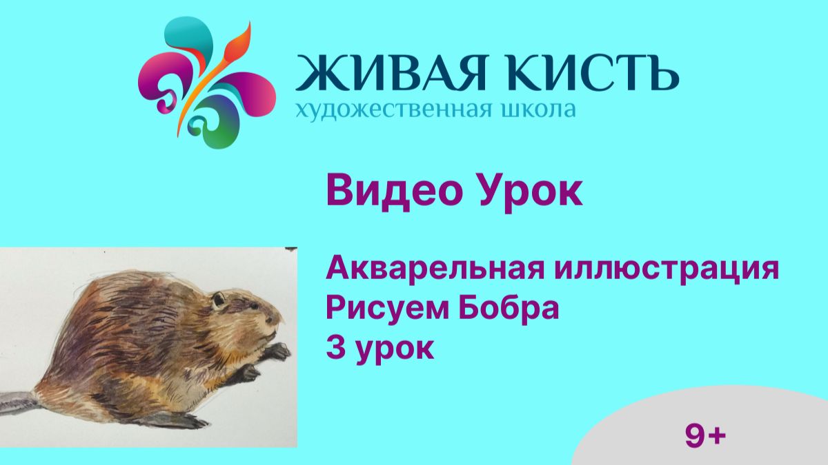 Рисуем Бобра. Иллюстрация акварелью. 3 урок