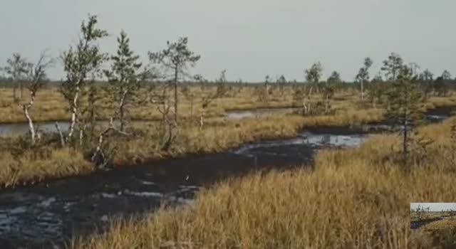 .... Васюганские Болота - Что мы знаем о них....