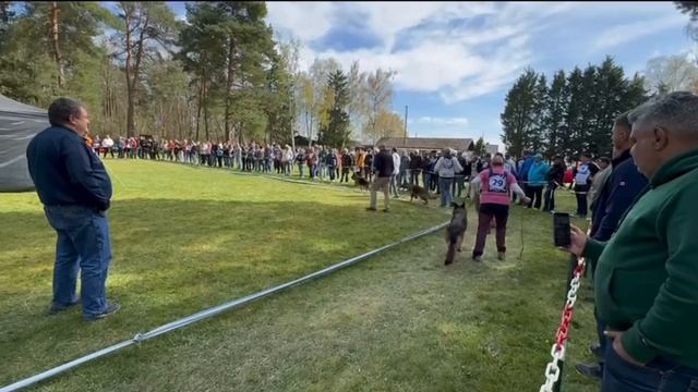 KITY v. Dede (UVO Dell`Alto Ofanto — SALAH du val d`Anzin)