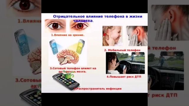 Шуйская О. А., Плеханова Е. В.