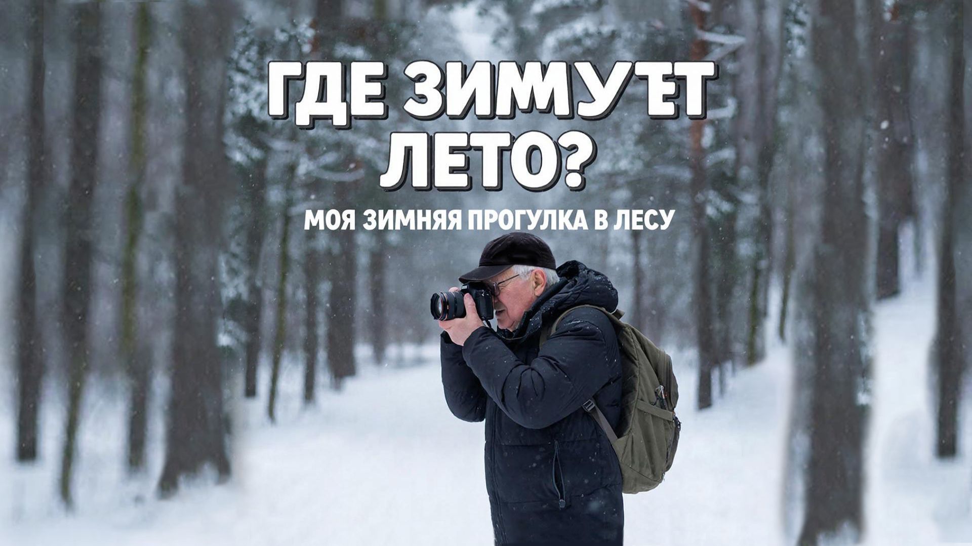 "Где зимует лето?''   #ГдеЗимуетЛето