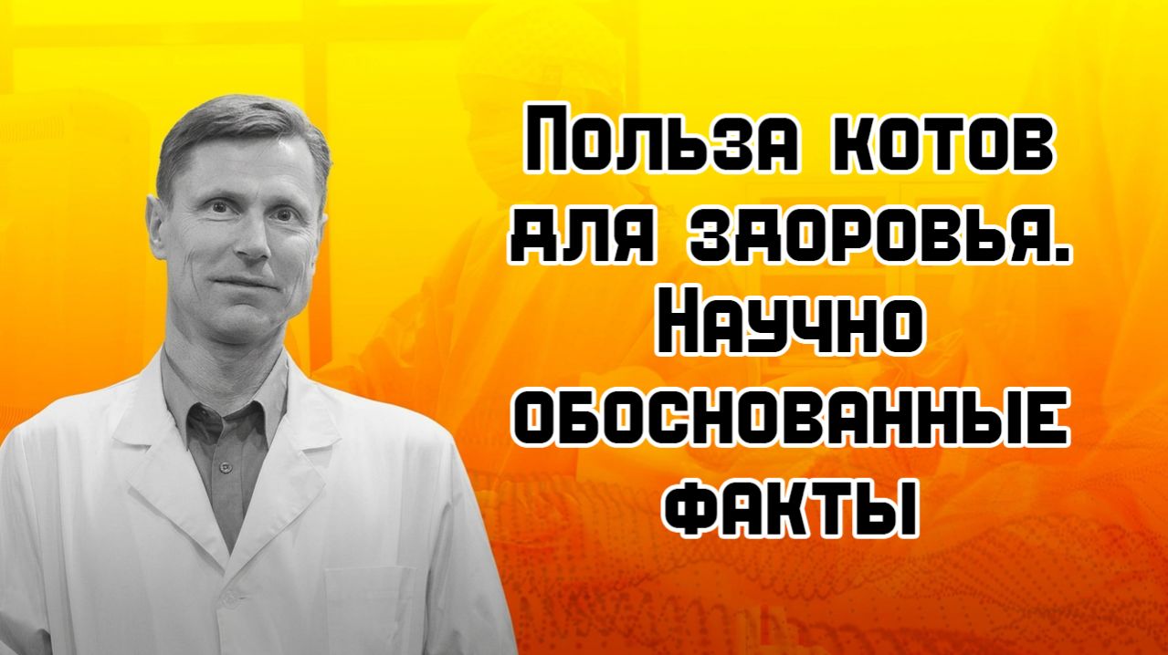 Польза котов для здоровья. Научно обоснованные факты
