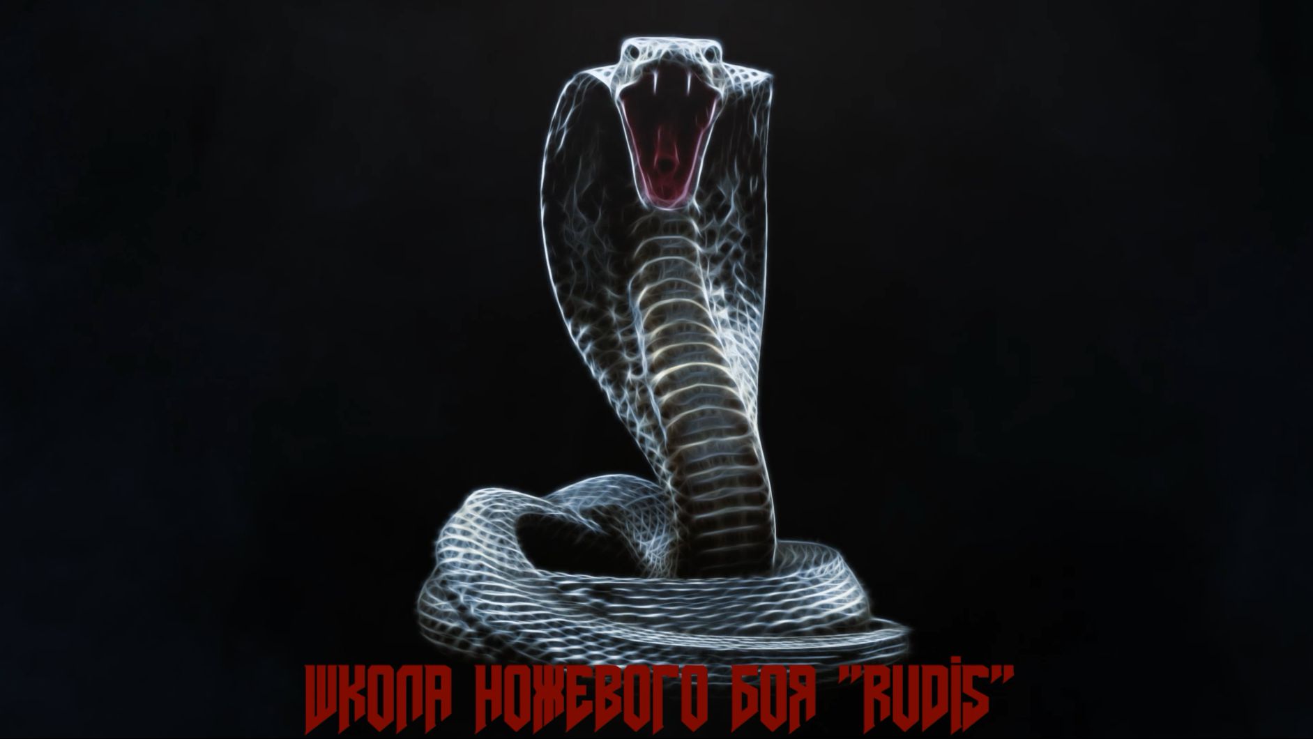 Введение в прикладной ножевой бой: От снятия часового до обратного колющего удара.