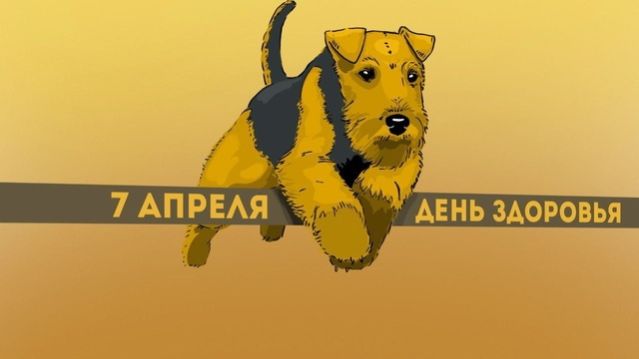 Вельш терьер в День здоровья-IV-2026