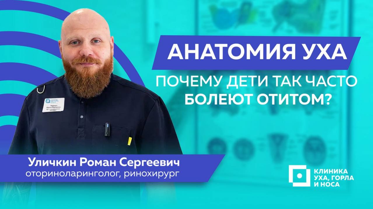Анатомия уха. Почему дети так часто болеют отитами?