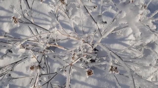 Не любит нас любовь_ музыка и исполнение_ Олег Сапегин,слова_Татьяна Зуева,О.Сапегин