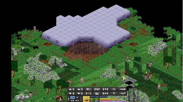 X-COM UFO Defense c модами (3)