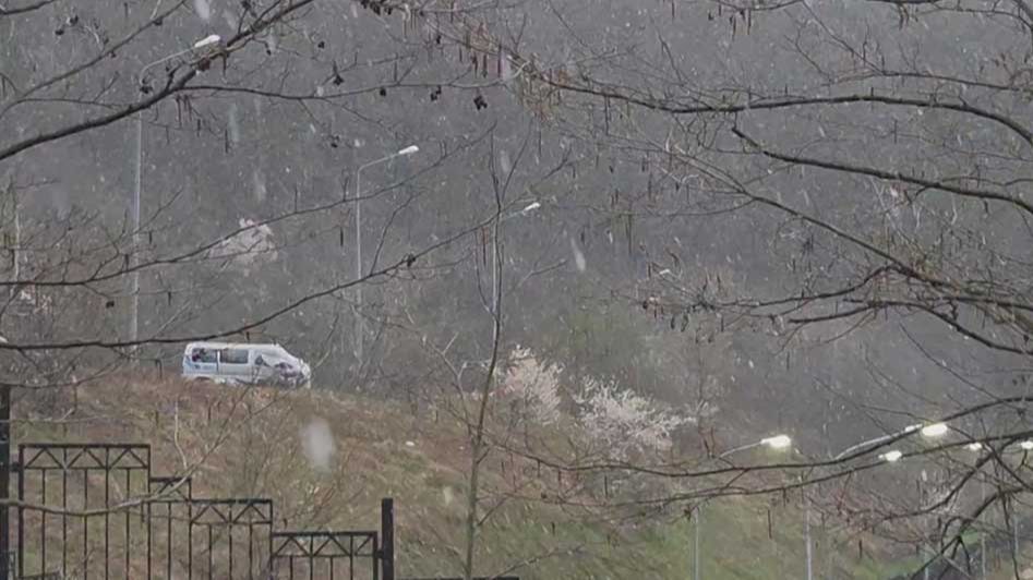 В горах Сочи выпал снег