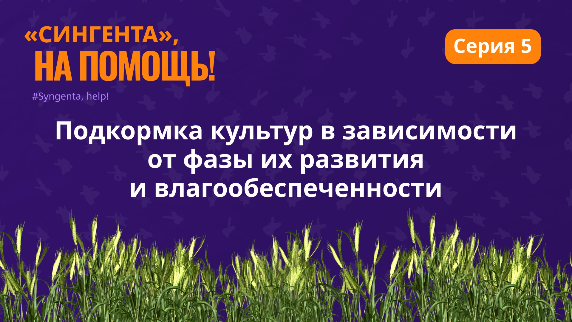 ПОДКОРМКА КУЛЬТУР В ЗАВИСИМОСТИ ОТ ФАЗЫ ИХ РАЗВИТИЯ И ВЛАГООБЕСПЕЧЕННОСТИ