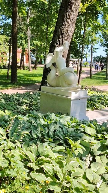 Петергоф. менажерийный пруд.