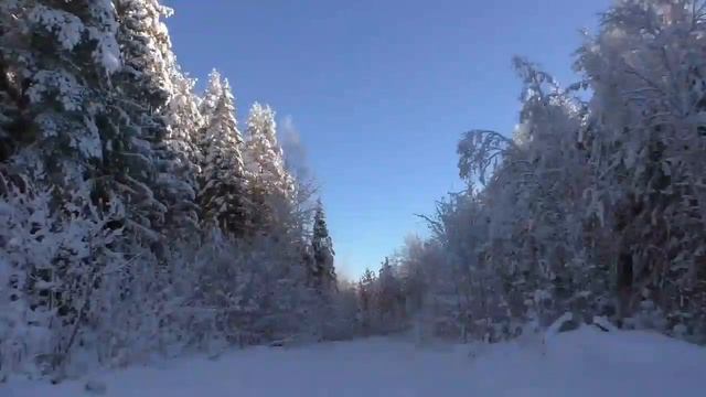 Мартышев Кирилл. Поет зима -аукает, С. Есенин