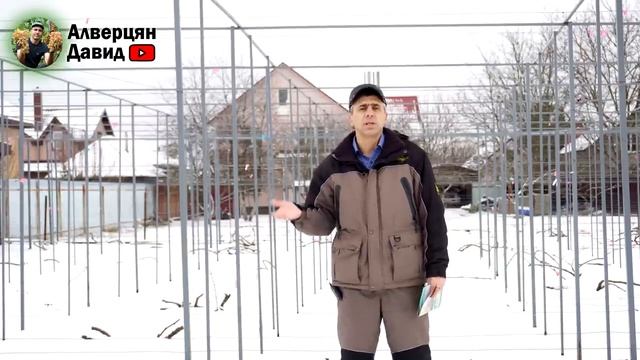 План работ на винограднике в феврале (11.02.2024)