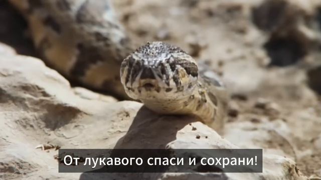 Аллилуия - это потолок. Песнопение на стихи Игнатия Тихоновича Лапкина.