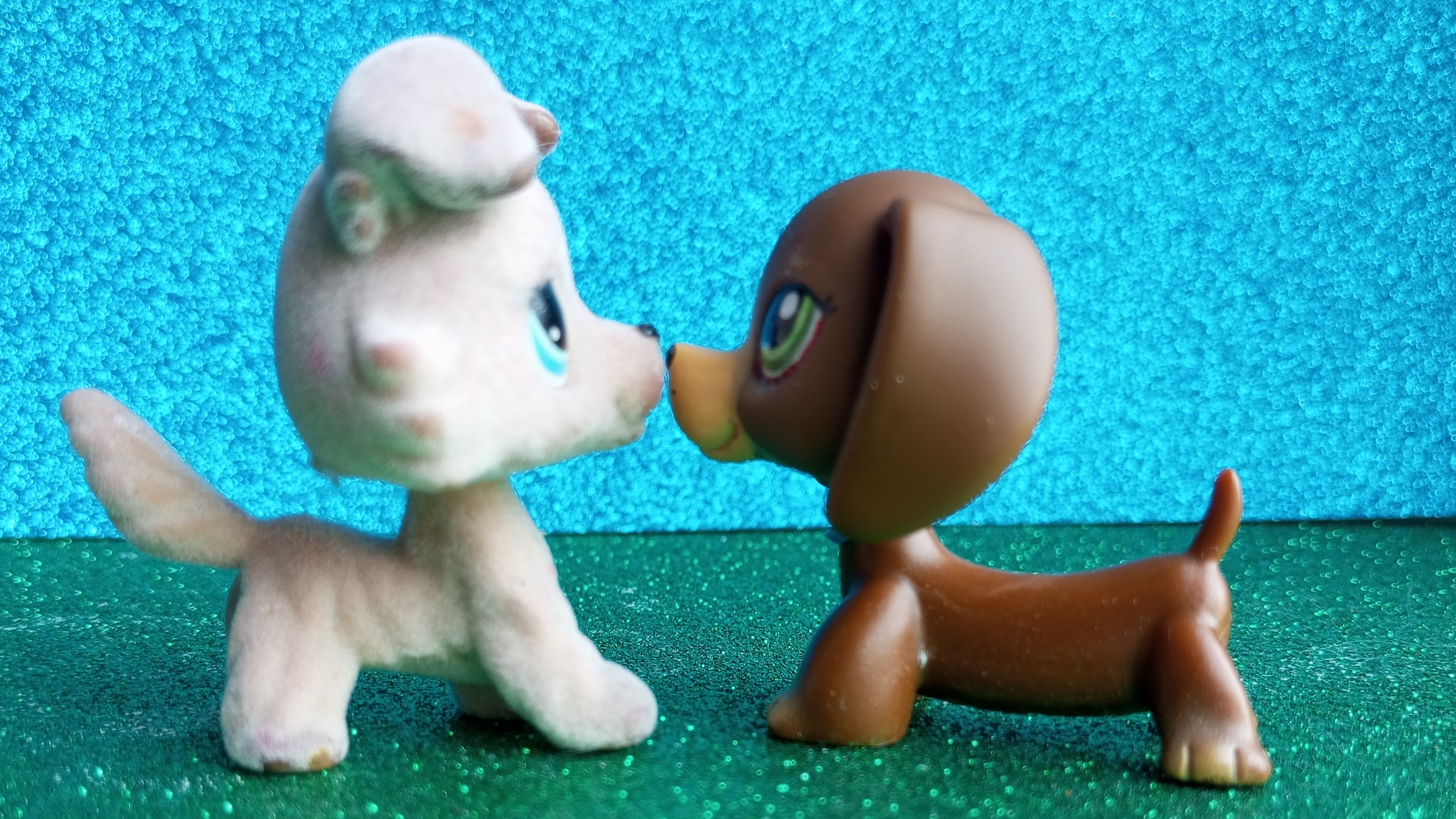 Ledi and the tramp opening