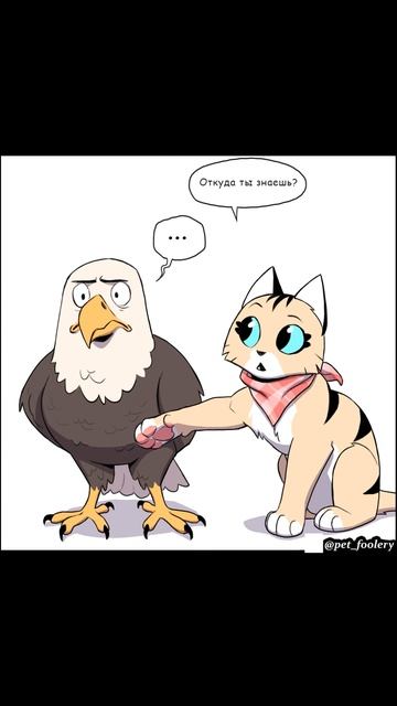 Радиоактивный) Пикси и Брут