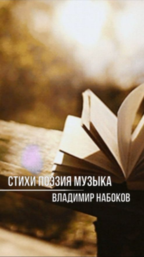 Лучшая реакция на вражескую критику