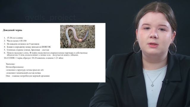 #3. Тип кольчатые черви - систематика, внешнее и внутреннее строение, разнообразие представителей.