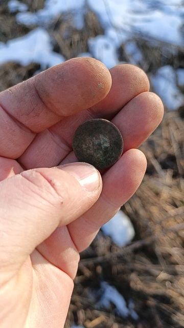 Весна Копаем медные монеты #shorts #весна #копаем #медныемонеты #другаяжизнь