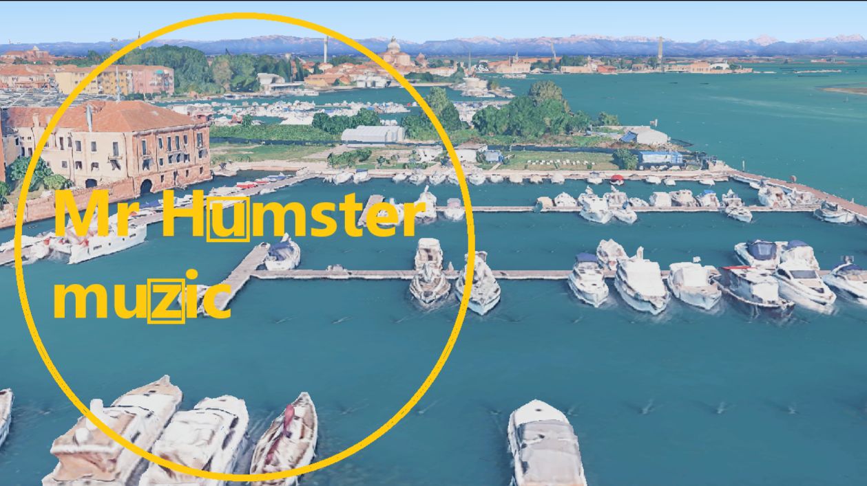 Mr Humster muzic / bass 33