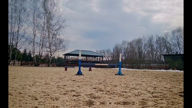 «Вятская лошадь Рубиновая. Тренировка по конкуру в конном клубе «Лаир»