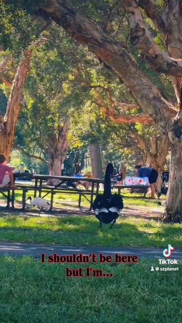 Я там, где не должна быть…