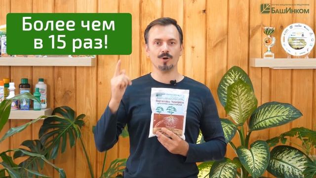 Кормилица Микориза: растения растут в 10 раз быстрее!