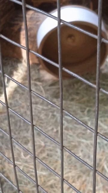 Кто быстрее?