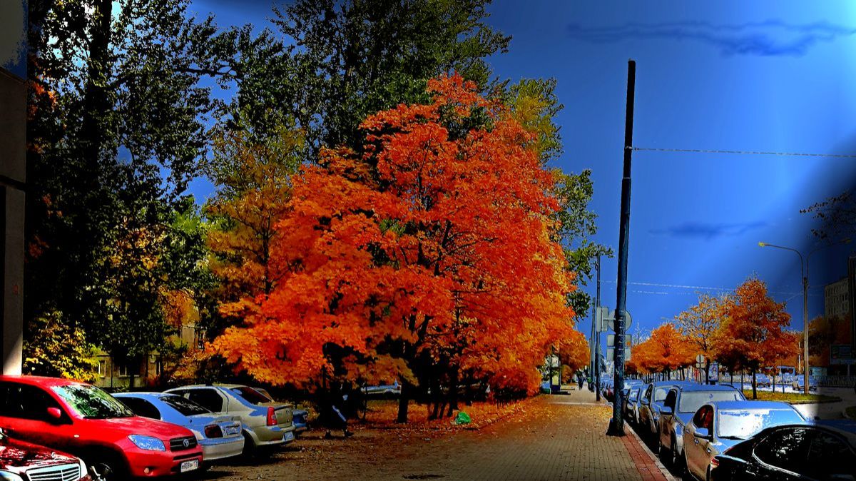 Осень в Санкт-Петербурге ( Слайд-шоу из моих фотографий )