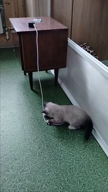 Мне надо зарядить айфон