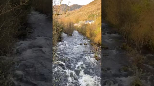 Монсегюр. СИНТЕЗ ИТОГОВ ЭКСПЕДИЦИИ, Франция. Оксана Пивняк. МНШУ