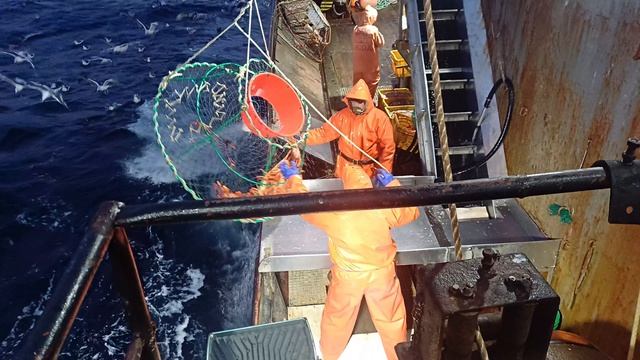 РАБОТА  НА КРАБЕ ГОТОВКА СМОТРЕТЬ БЕСПЛАТНО ВСЕМ  2026