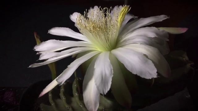 Внутри тишина. В этом мире вещей слишком много забыли о Боге.