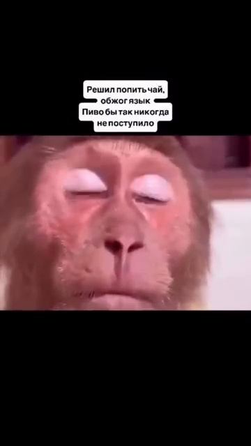 29 сентября 2025 г [get.gt]