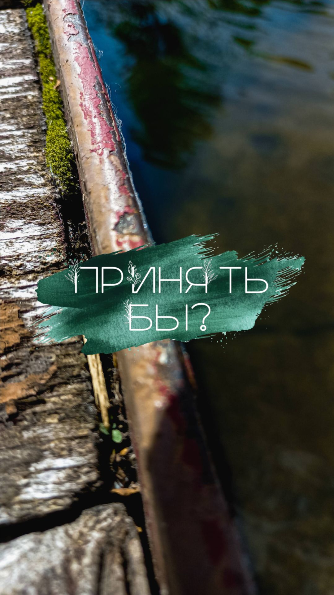 Принять бы? #shorts