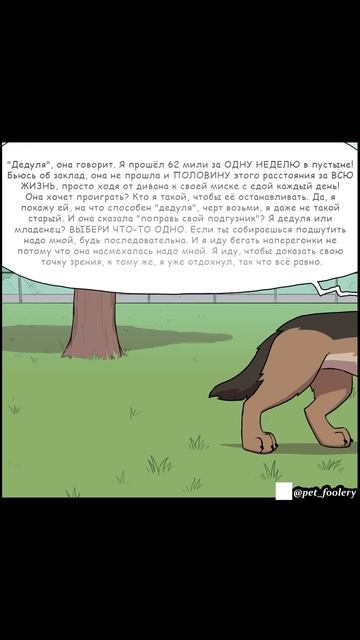 Дедуля) Пикси и Брут