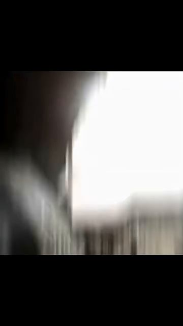 Вы когда-нибудь общались со Сталкерами