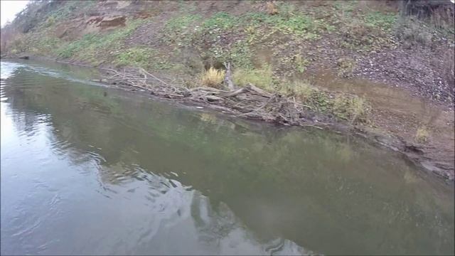 ТЕНКАРА. ОСЕННИЙ ЕЛЕЦ