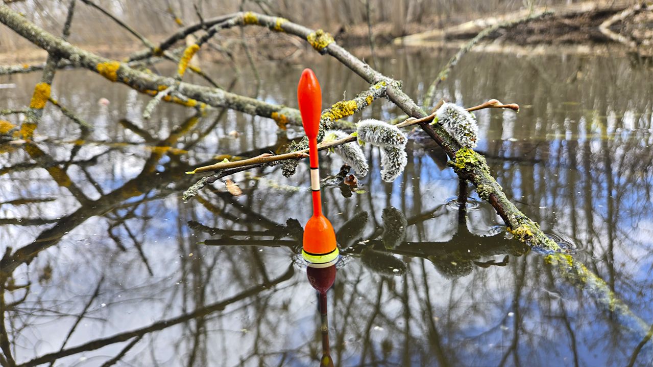 В ЭТИХ ЗАВАЛАХ ПОЛНО РЫБЫ! РЫБАЛКА НА ПОПЛАВОК 2026.