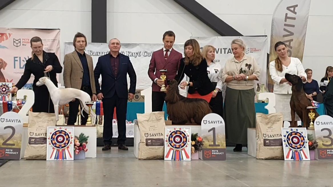 28.03.2026, СПб. Клуб "БКС-1" (РКФ, РФЛС). Выставка собак всех пород "БАЛТИЙСКИЙ КУБОК" (CAC, ЧРКФ)