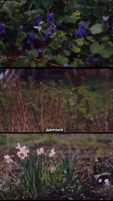 Наша холодная весна