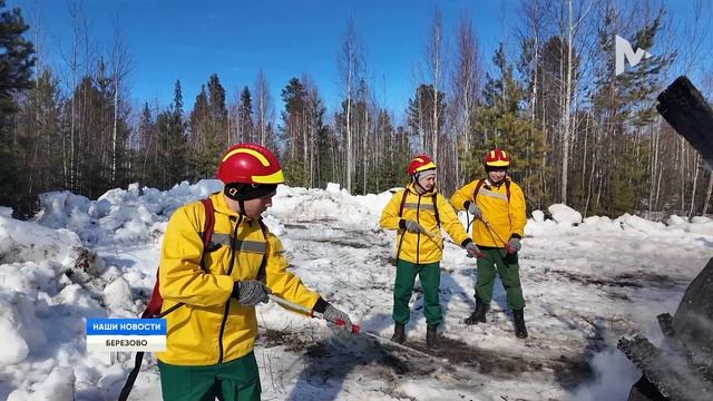 Лесные пожары под прицелом