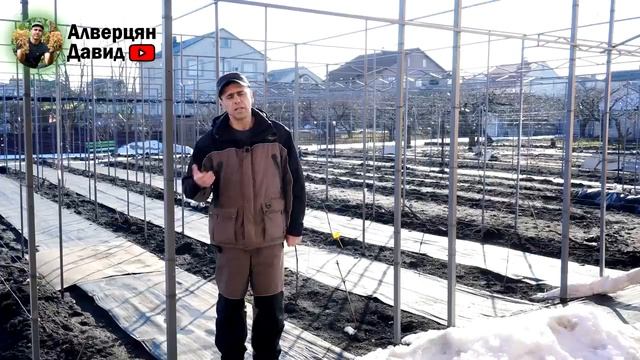 План работ на винограднике в марте (03.03.3024)