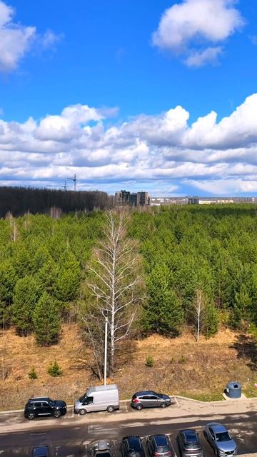 Моя терапия. Без таблеток и с видом на сосны 🌲