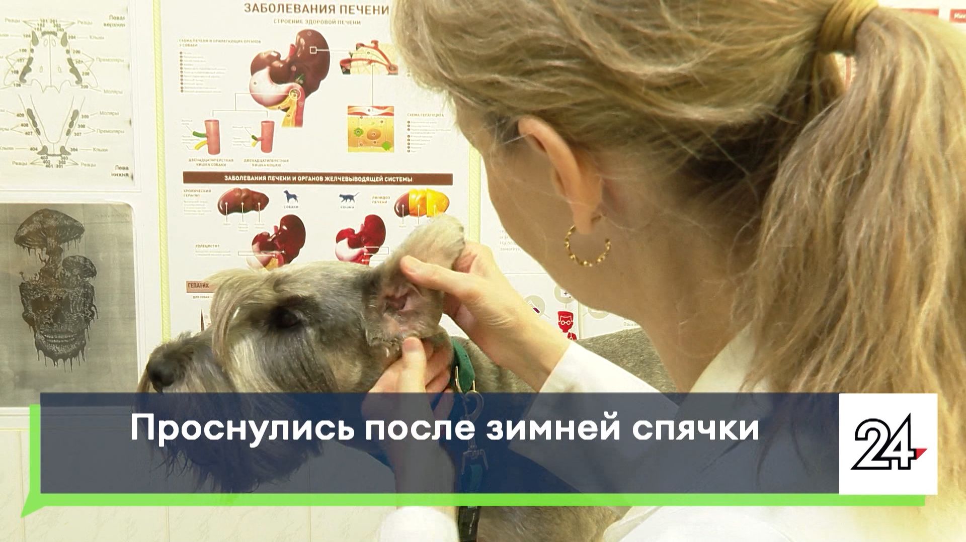 Проснулись после зимней спячки