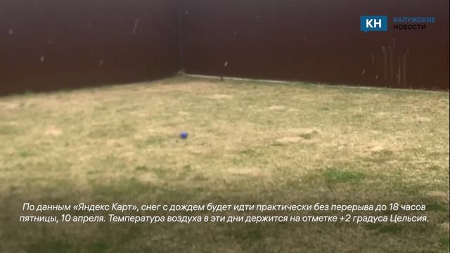 Зима вернулась в Калужскую область