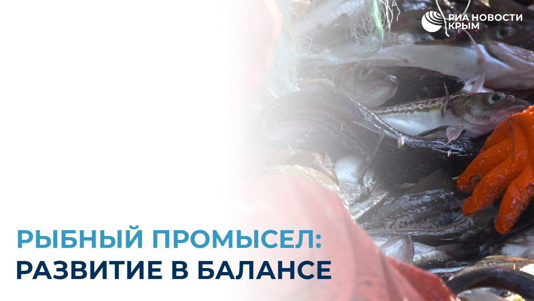 Рыбный промысел: развитие в балансе